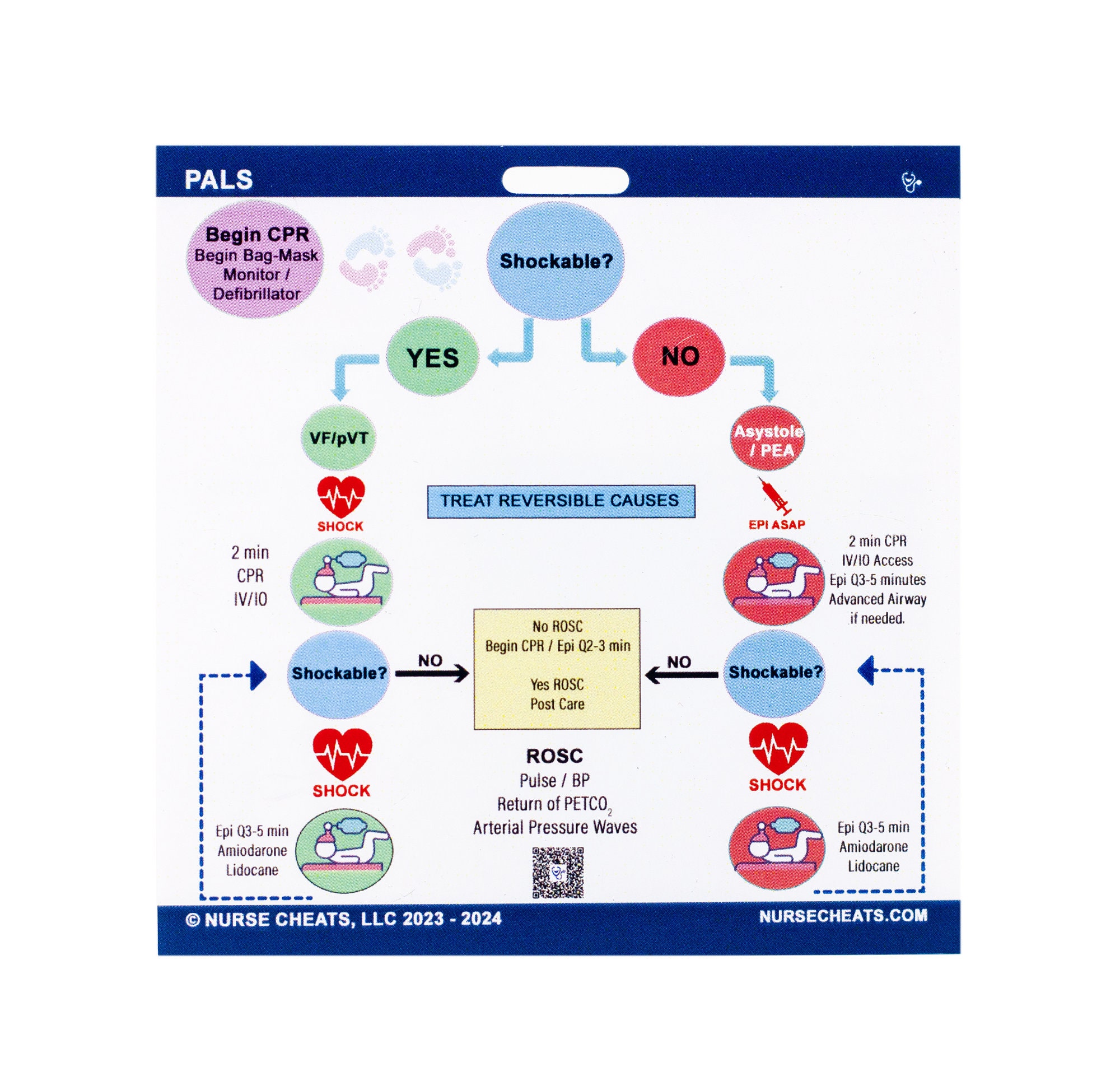PALS Algorithm Badge - Etsy