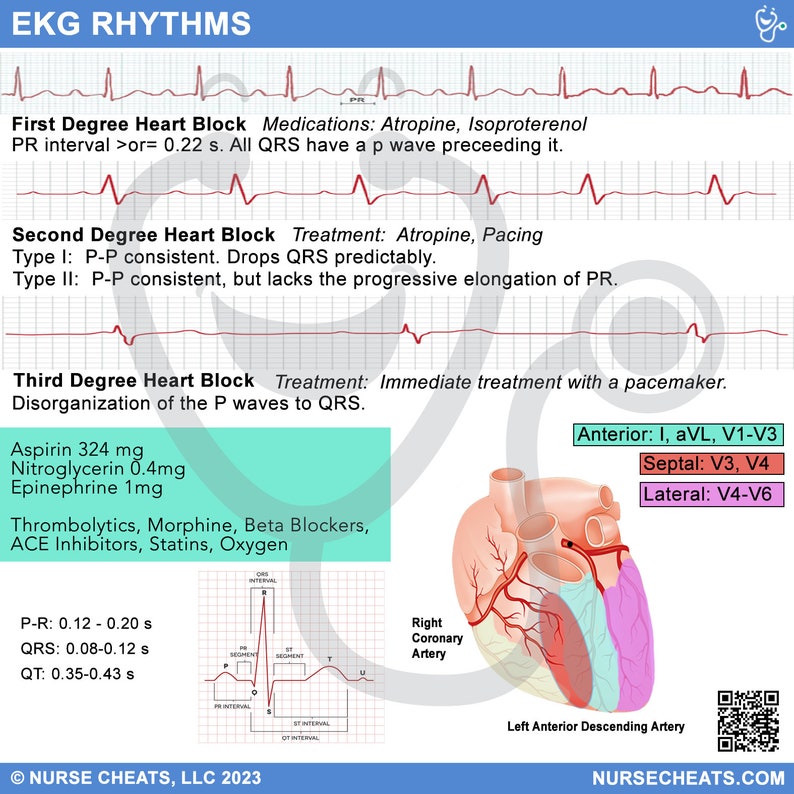 EKG Badge for Nurses - Etsy