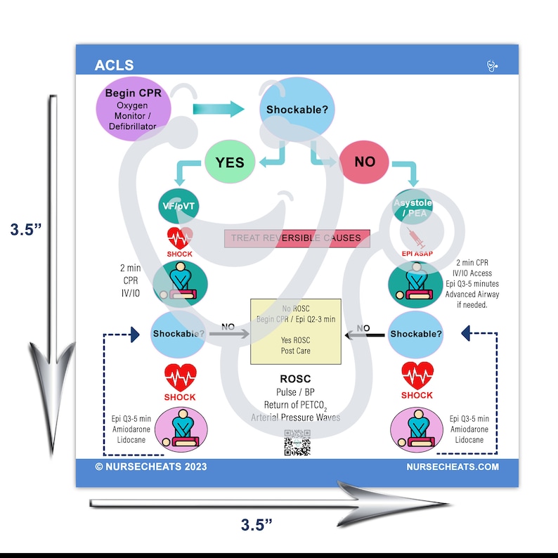 ACLS Algorithm Badge for Nurses - Etsy