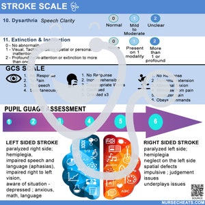 Stroke Scale Badge for Nurses - Etsy