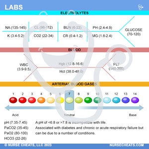 Lab Values Badge for Nurses - Etsy