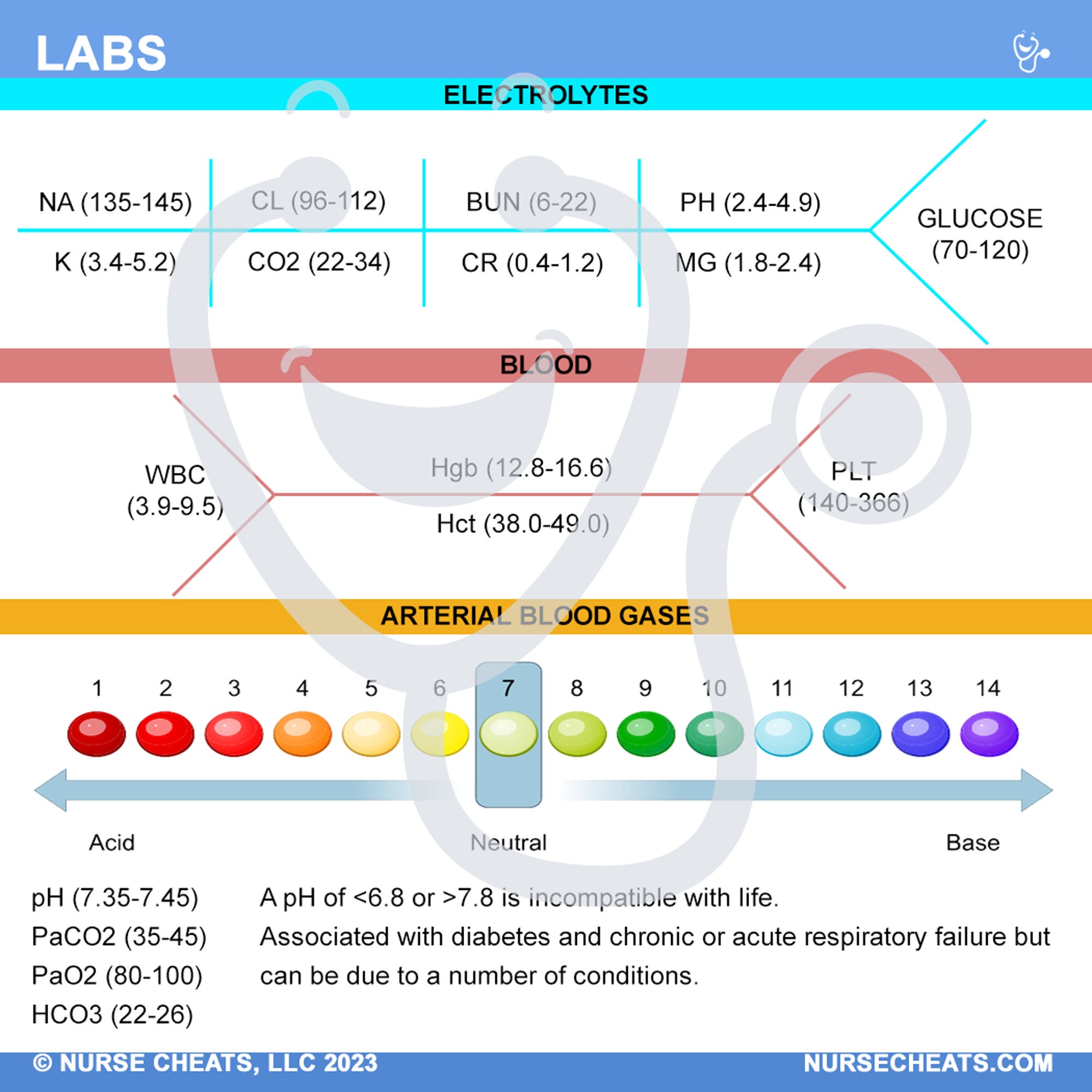 Lab Values Badge for Nurses - Etsy