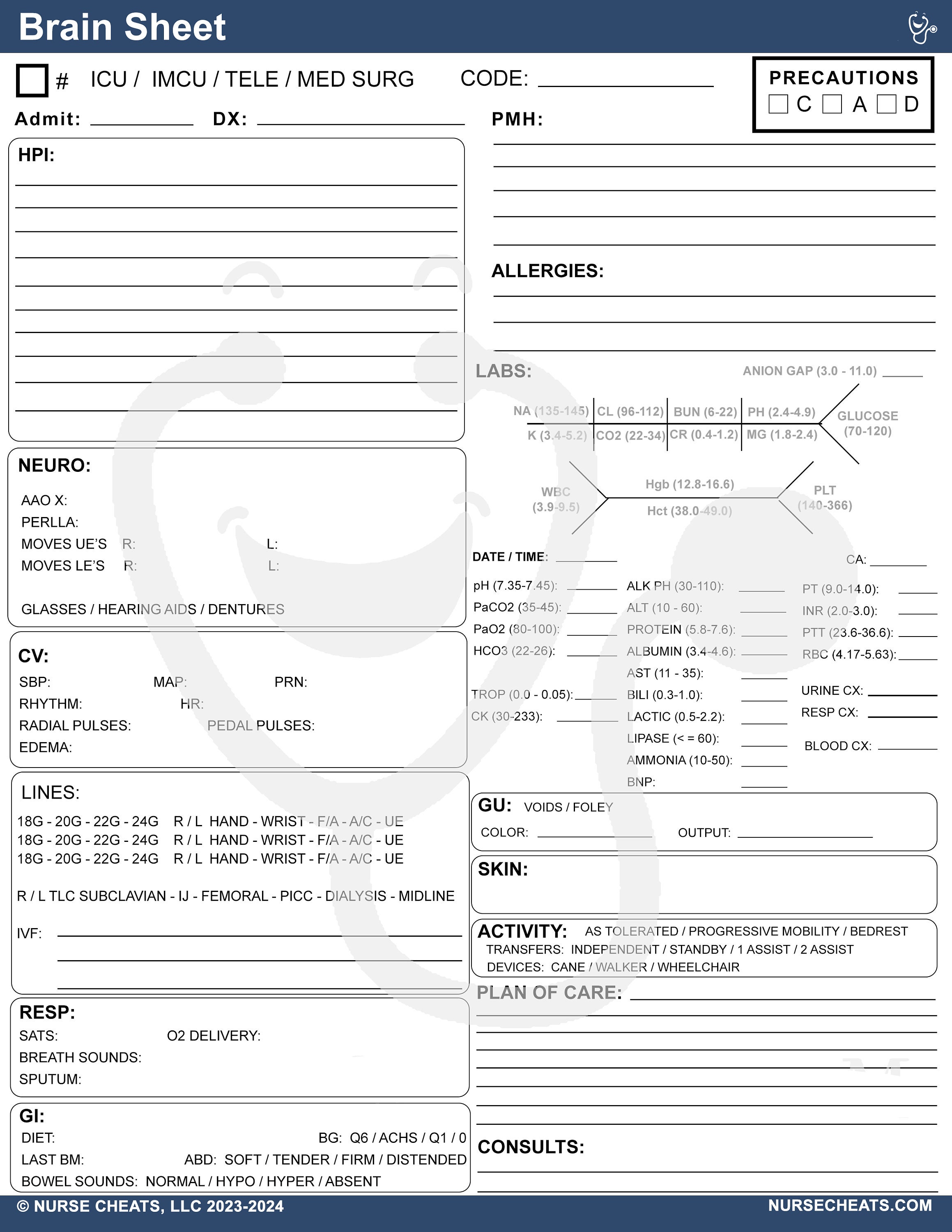 ICU Brain Sheet for ICU Nurses - Etsy