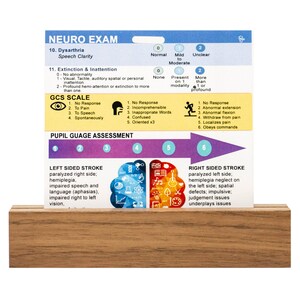 Stroke Scale Badge for Nurses - Etsy