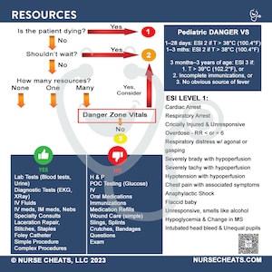 ESI Triage Badge for ER Nurses - Etsy