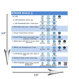 Stroke Scale Badge for Nurses - Etsy