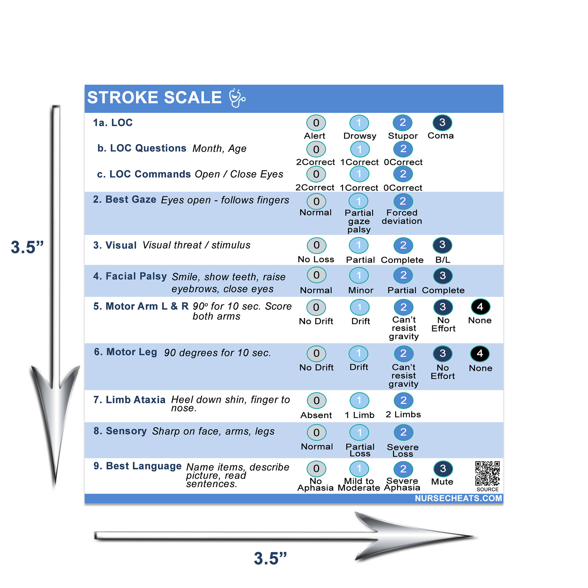 Stroke Scale Badge for Nurses - Etsy