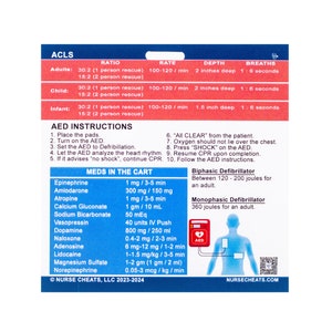 ACLS Algorithm Badge for Nurses - Etsy