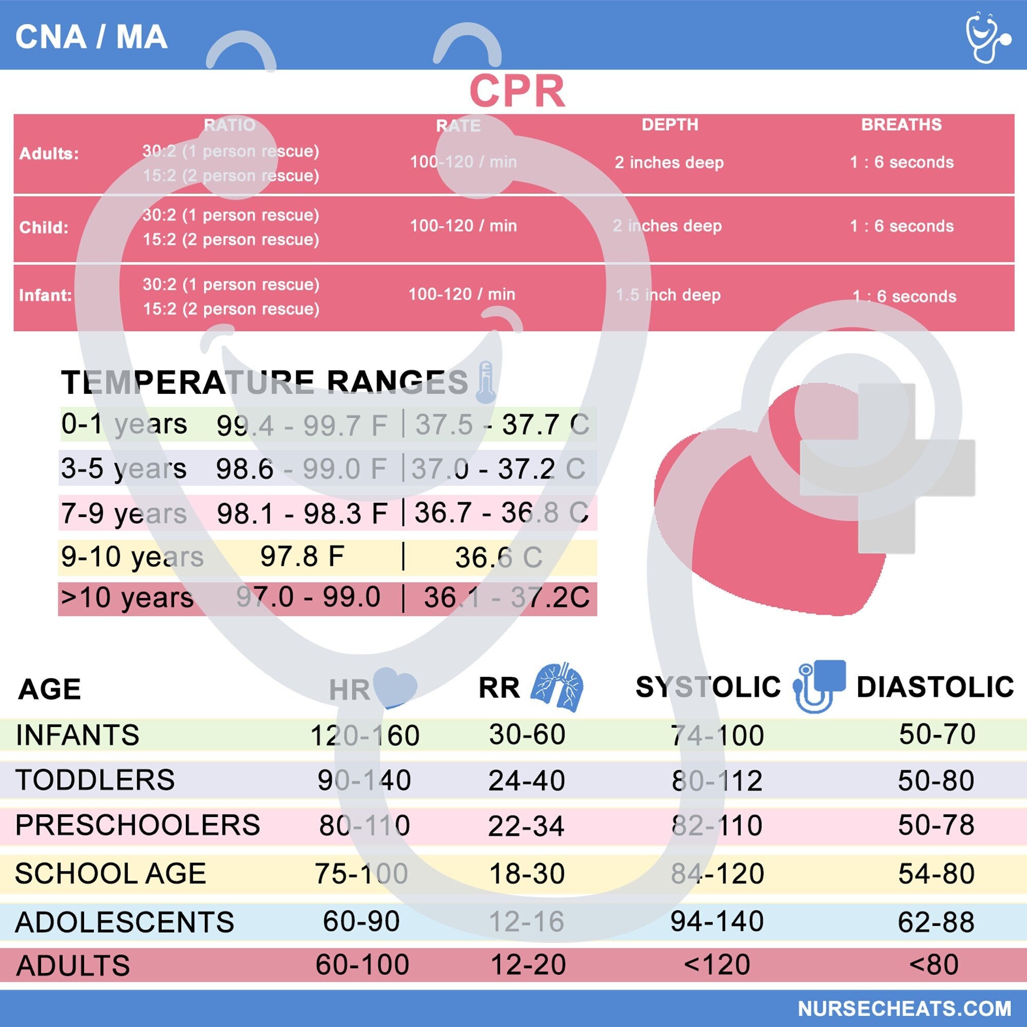 CNA/MA Reference Badge: CPR, Vitals, Pain Scale - Etsy