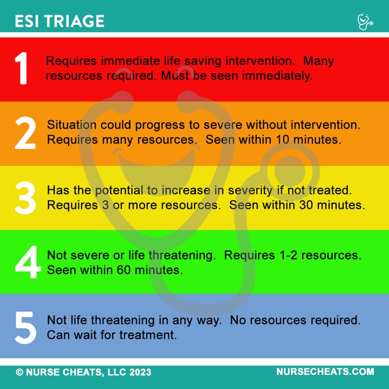 ESI Triage Badge Buddy for ER Nurses - Etsy