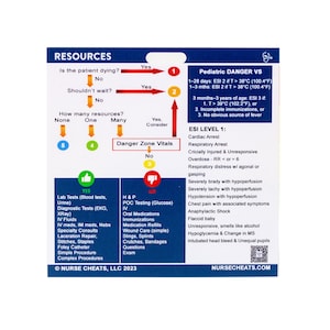 ESI Triage Badge for ER Nurses - Etsy