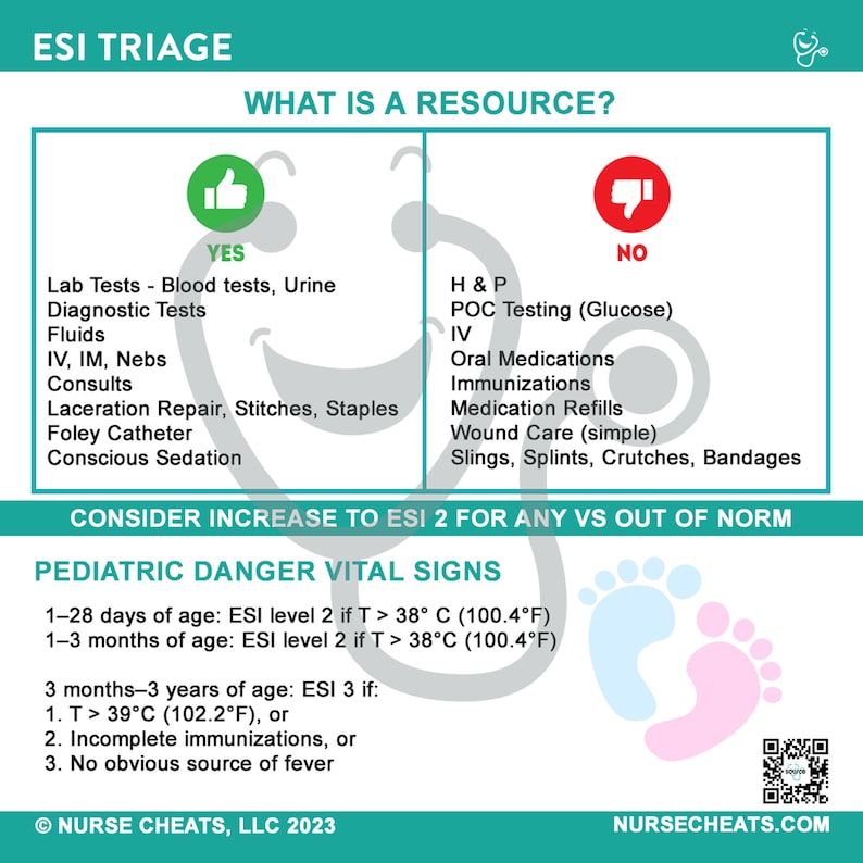 ESI Triage Badge Buddy for ER Nurses - Etsy