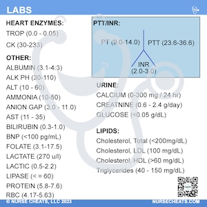 Lab Values Badge for Nurses - Etsy