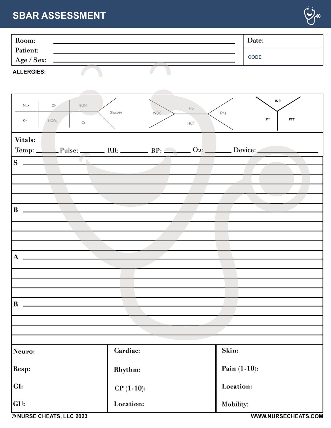 SBAR ASSESSMENT Form for Inpatient Nurses - Etsy