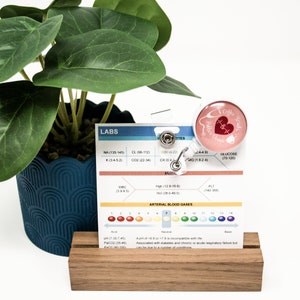 Lab Values Badge for Nurses - Etsy