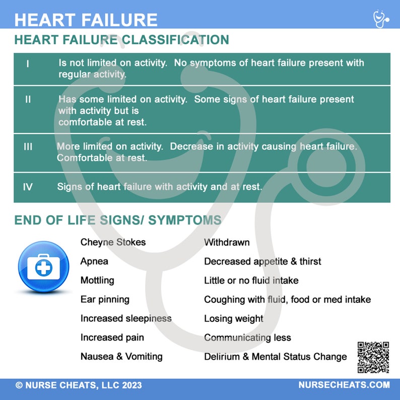 Karnofsky KPS / PPS Badge Buddy for Hospice Nurses - Etsy