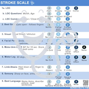 Stroke Scale Badge for Nurses - Etsy
