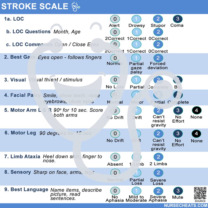 Stroke Scale Badge for Nurses - Etsy