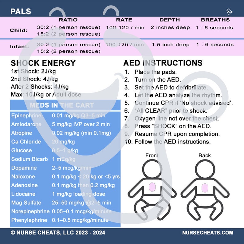 PALS Algorithm Badge - Etsy