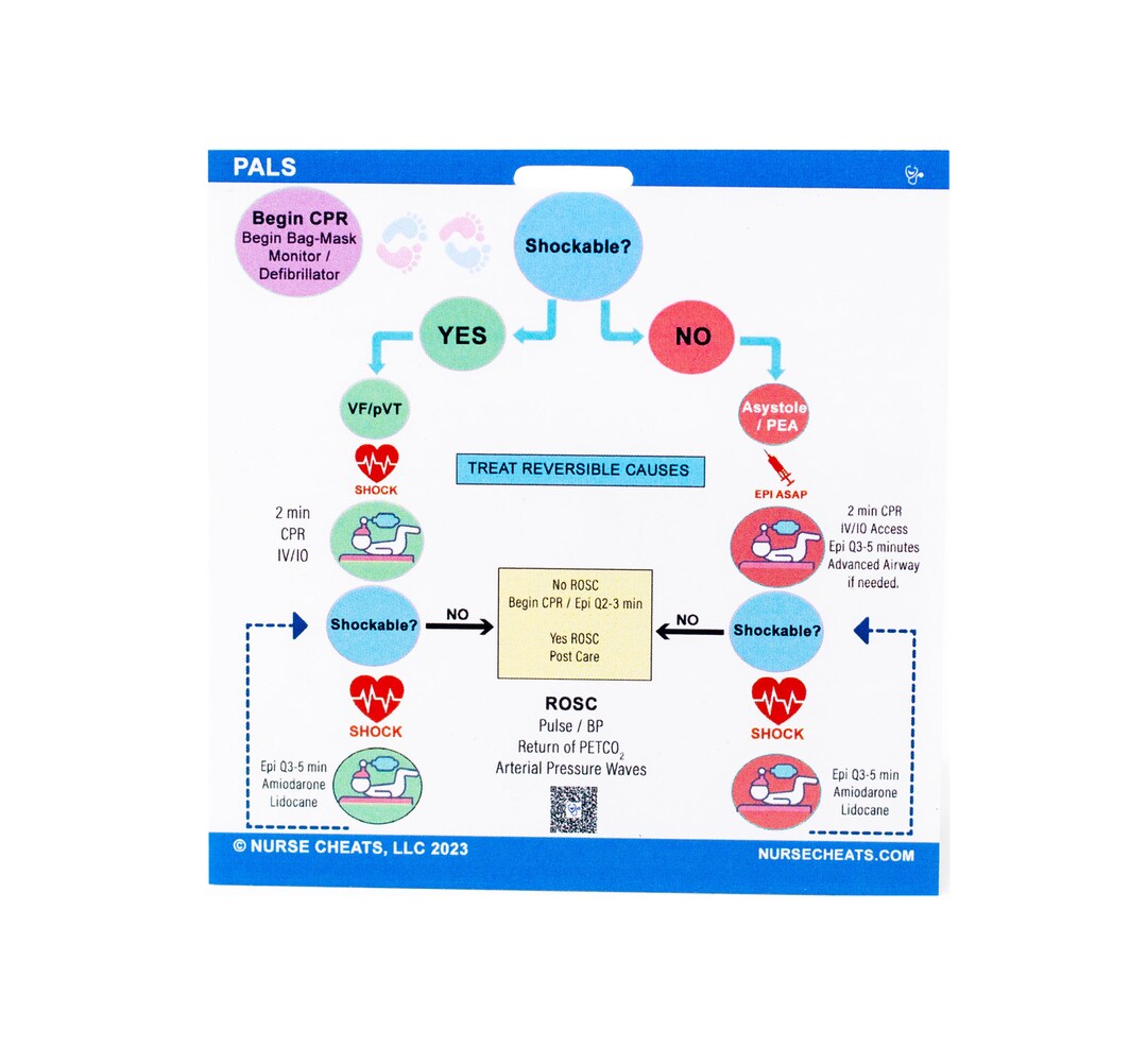 PALS Algorithm Badge - Etsy