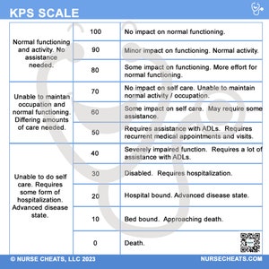 KPS Badge Buddy for Hospice Nurses - Etsy