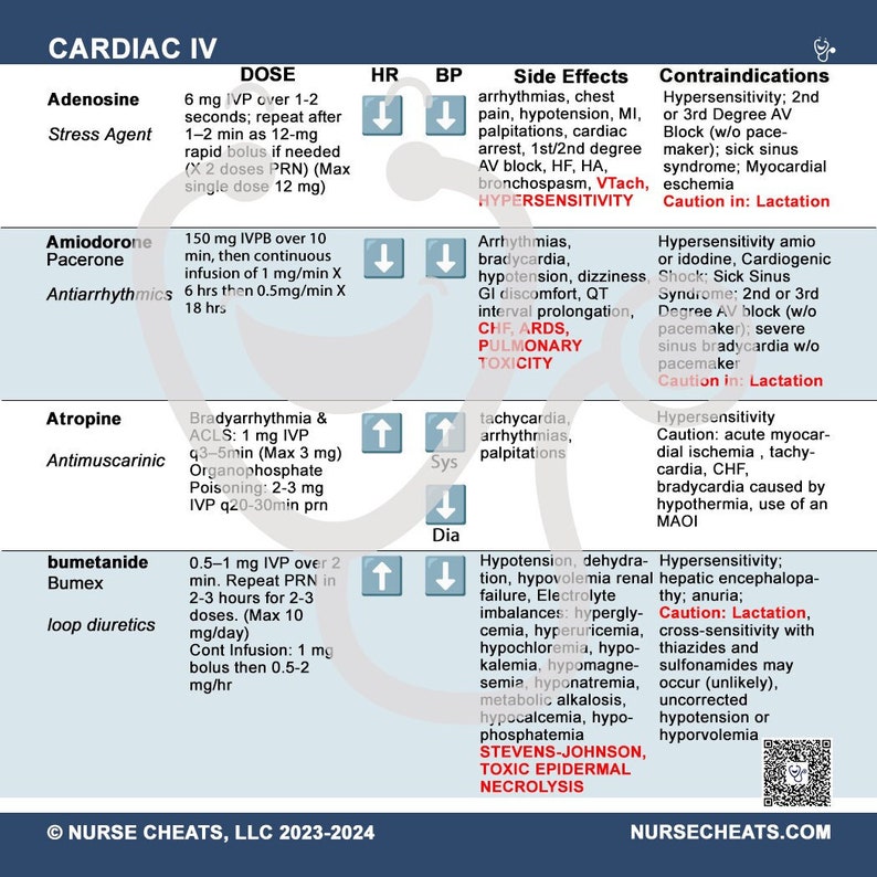 Cardiac Drips for Nurses - Etsy
