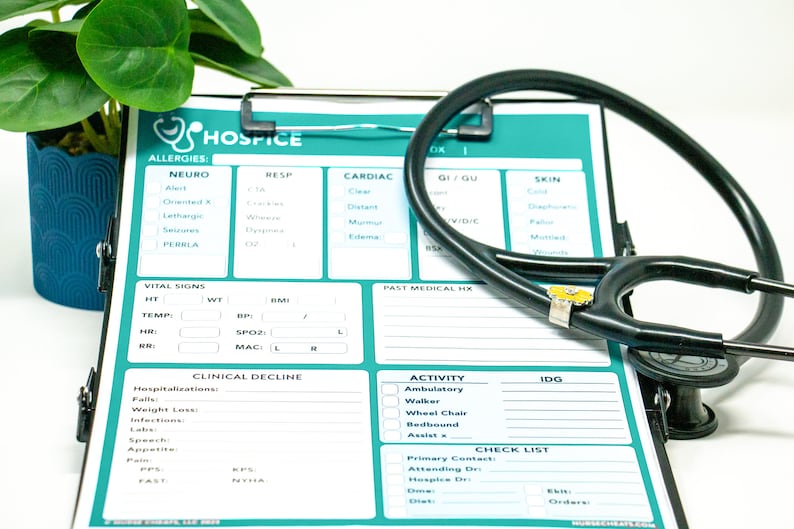 Hospice Assessment Form for Nurses - Green - Etsy
