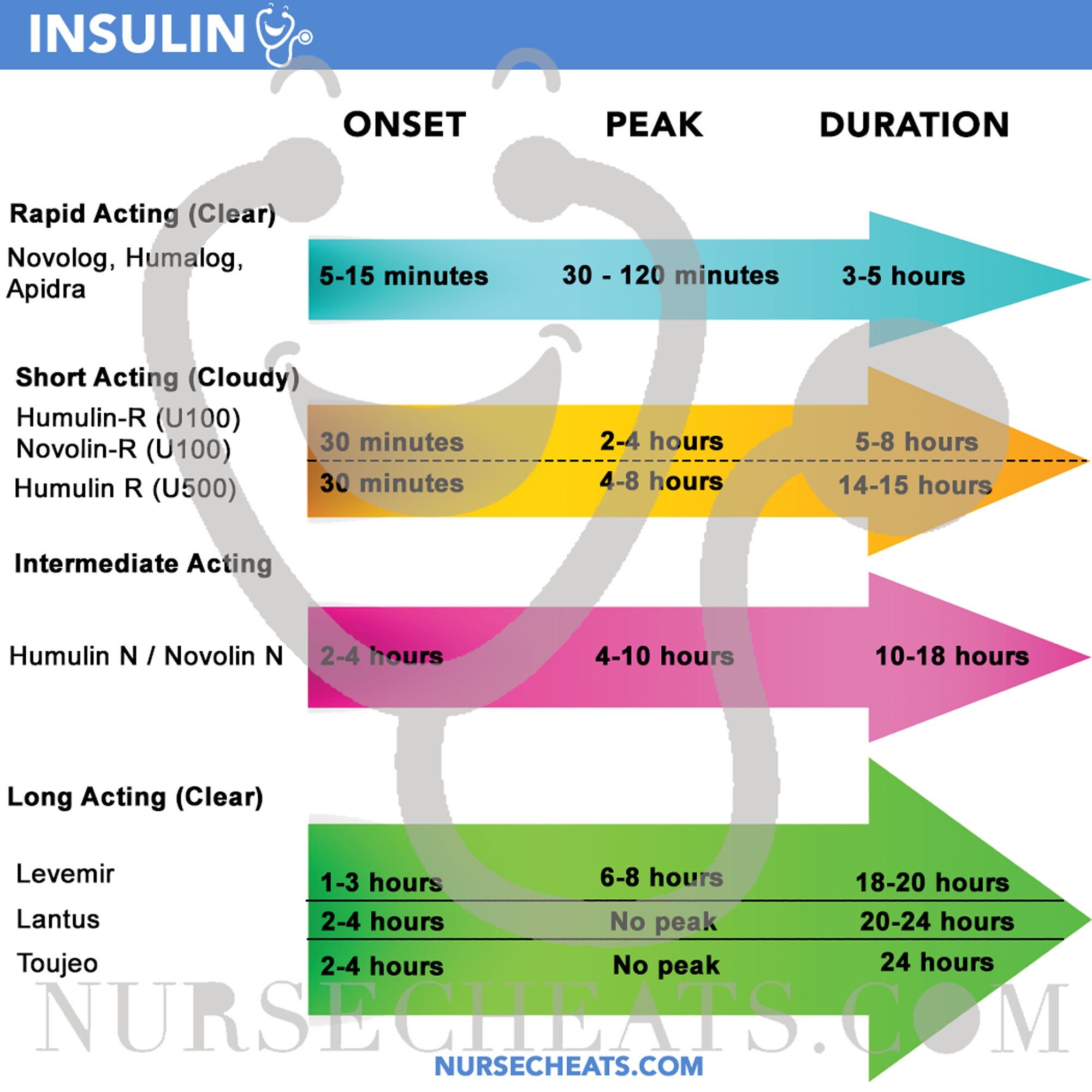 Insulin Peak Times Badge for Nurses - Etsy