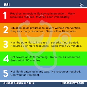 ESI Triage Badge for ER Nurses - Etsy