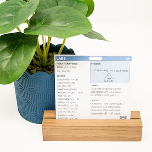 Lab Values Badge for Nurses - Etsy