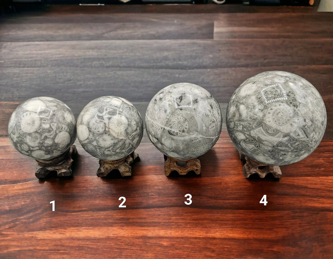 Orthoceras Fossil Sphere Ammonite Fossil Sphere Grey Crystal Sphere ...