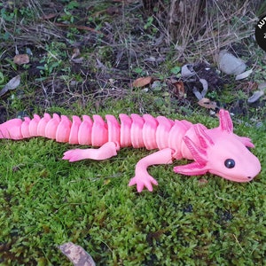 Cute Adult Axolotl Articulated Flexible 3D Print. - Etsy