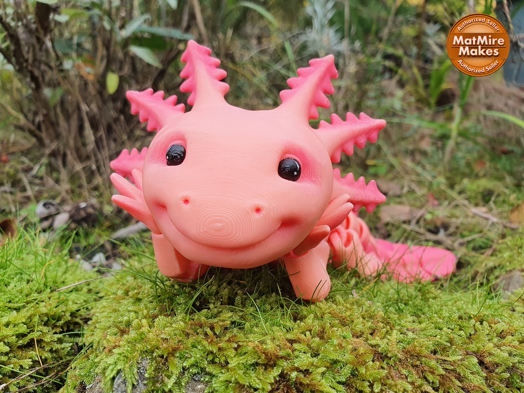 Adorable Axolotl Articulated Flexible 3D Print. Professionally Hand ...