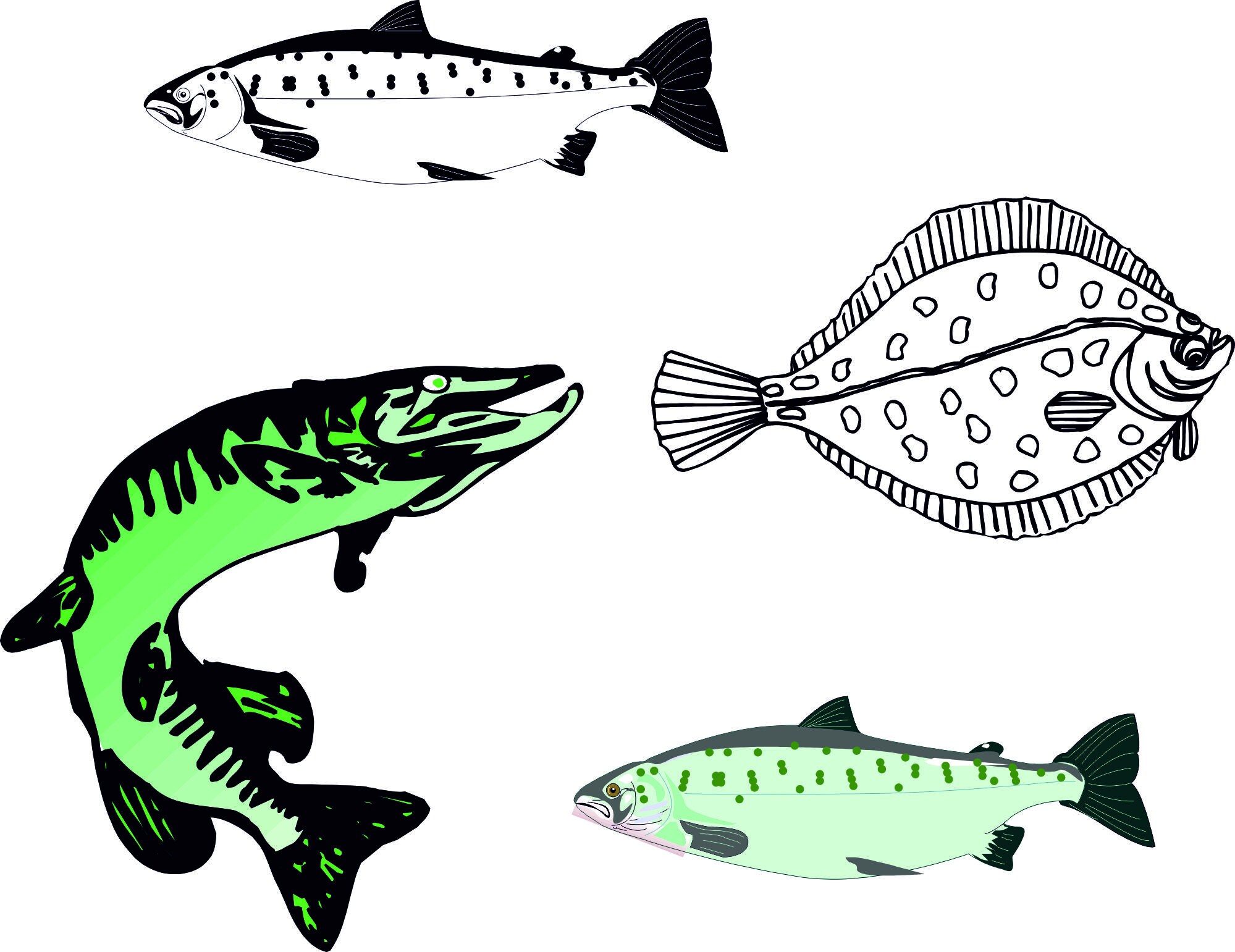 Fishes Svg Fish Svg Pack Cute Fish Fish Sticker Sea Fish - Etsy