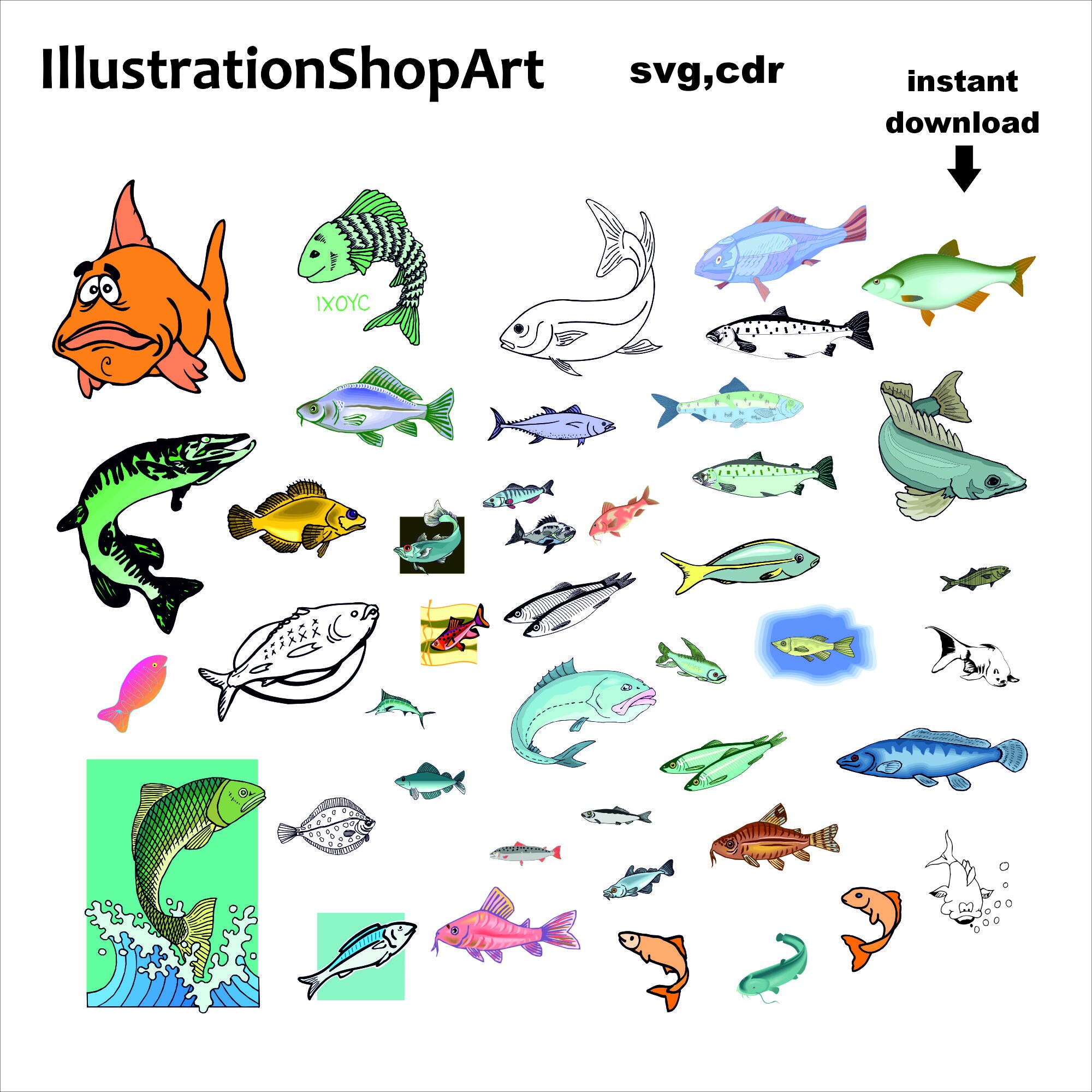Fishes Svg Fish Svg Pack Cute Fish Fish Sticker Sea Fish - Etsy