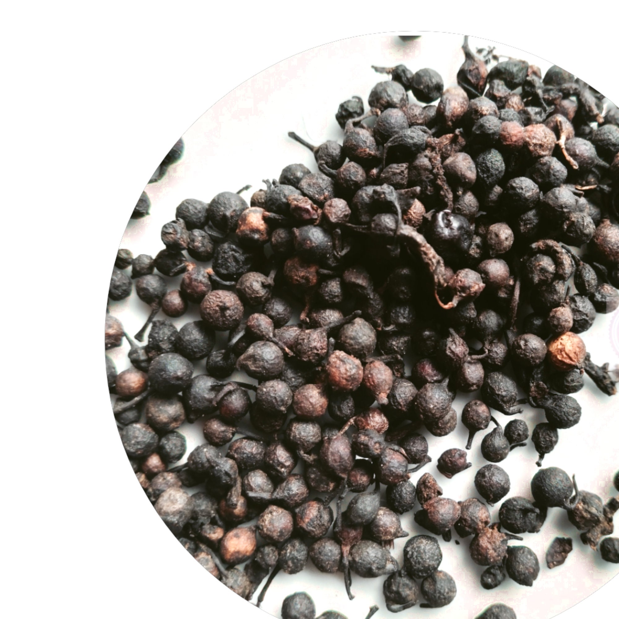 Uziza/ Piper Guineense, Ashanti/ Ata Iyere Pepper - Etsy