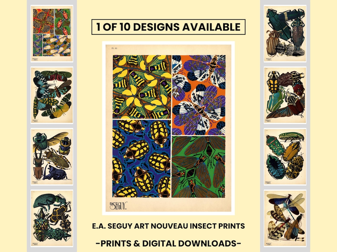 Exquisite E.A. Seguy Art Nouveau Insect Prints – Vintage Butterfly ...