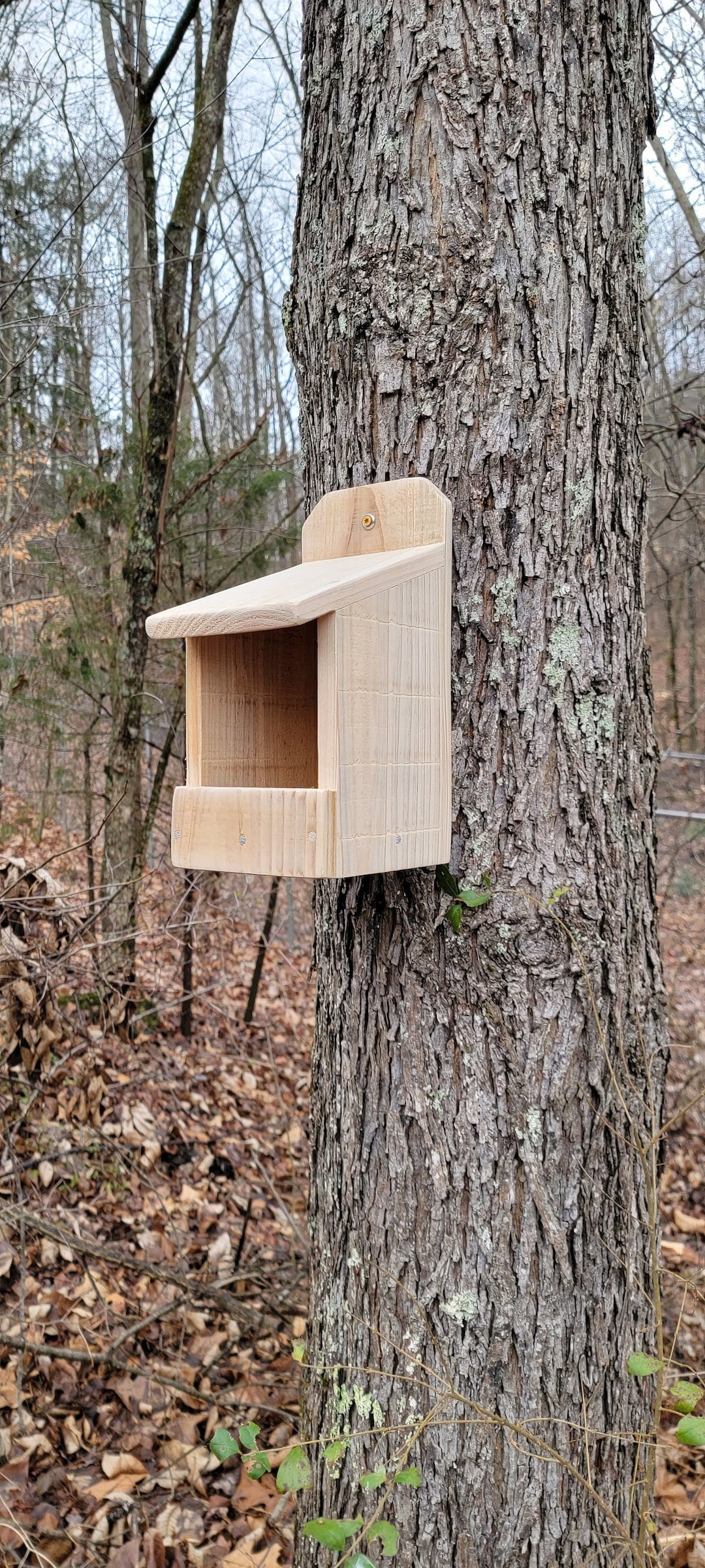 Cedar Nest Box Birdhouse - Etsy