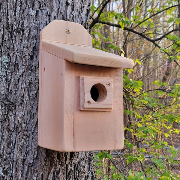 Bird House Predator Guard - Etsy