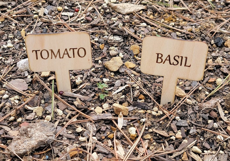 Plant Labels SVG Laser Cut File Digital Download - Etsy