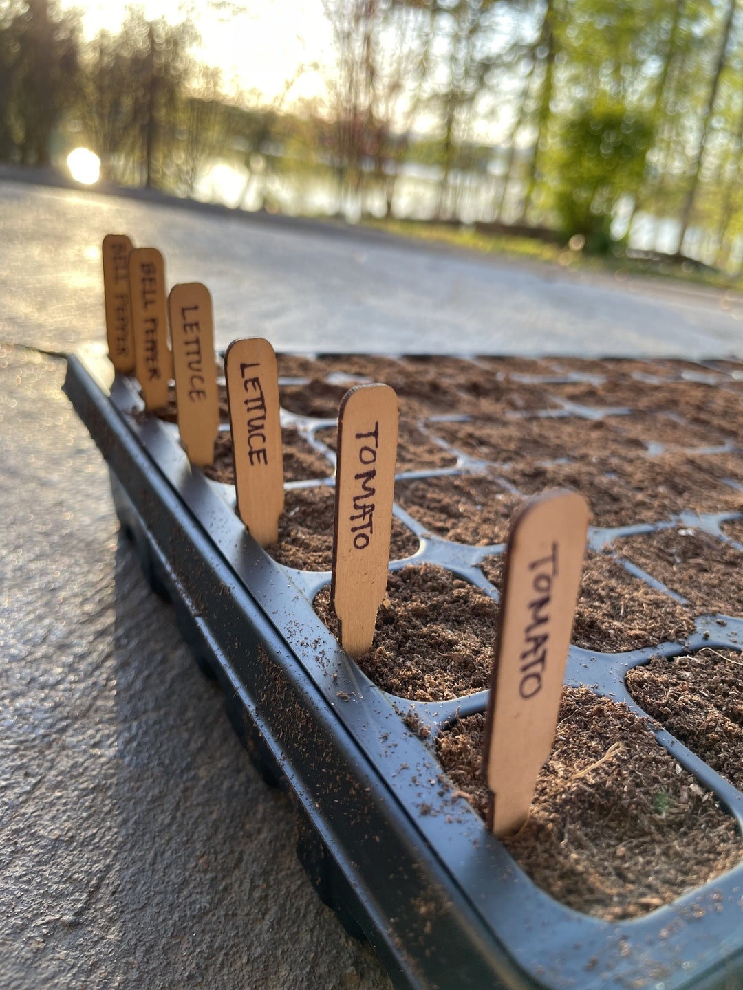 Seed Starter Plant Labels SVG Laser Cut File Digital Download - Etsy