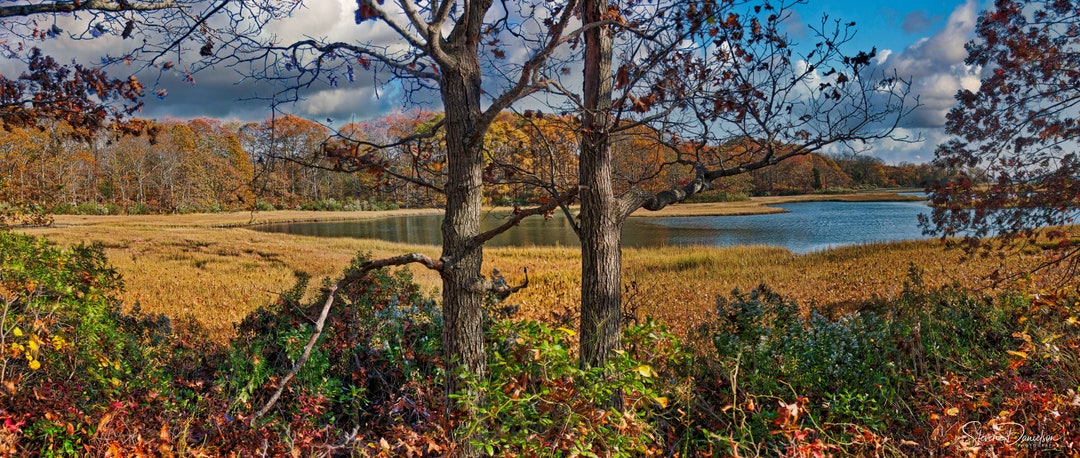 Mashomack Preserve Panorama: Shelter Island, NY - Fall Landscape Canvas ...