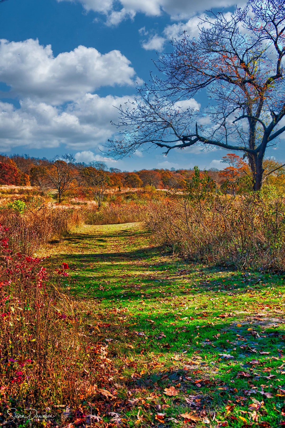 Shelter Island Meadow Photo: Mashomack Preserve Fall Landscape - Etsy