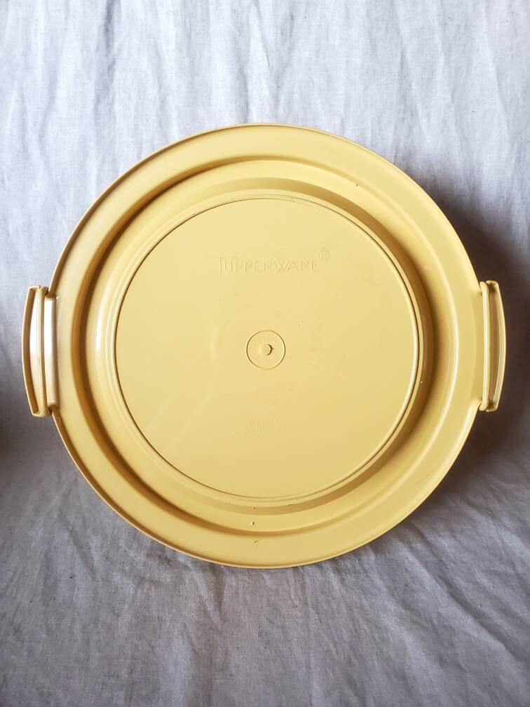 Tupperware Medium Plastic Handled Cake Dessert Carrier, Vintage ...