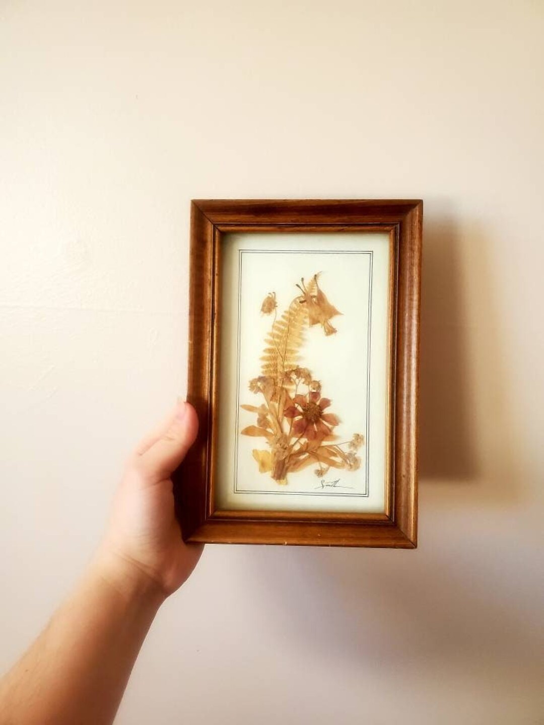 Small Vintage Shadow Box Dried Flowers Art Vintage Original - Etsy