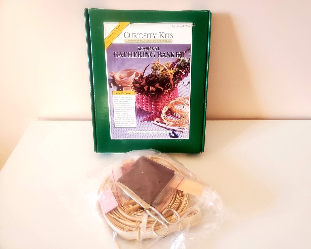 Vintage DIY Craft 1992 Curiosity Kits seasonal Gathering Basket ...