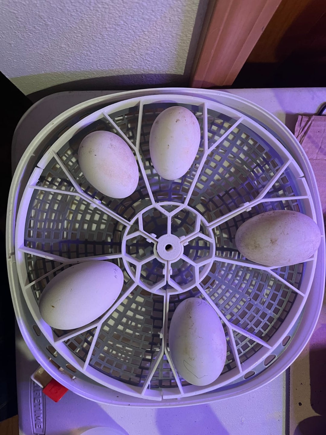 Nurture 360 Incubator Egg Turners Multiple Egg Sizes Available Pre-2025 ...