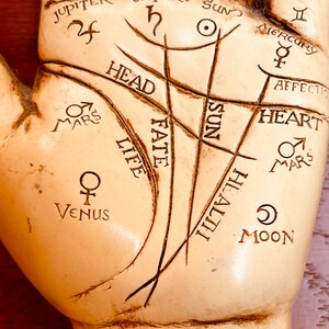 Unique Palmistry Life Lines Hand Model Sculpture Fortune Telling Palm ...