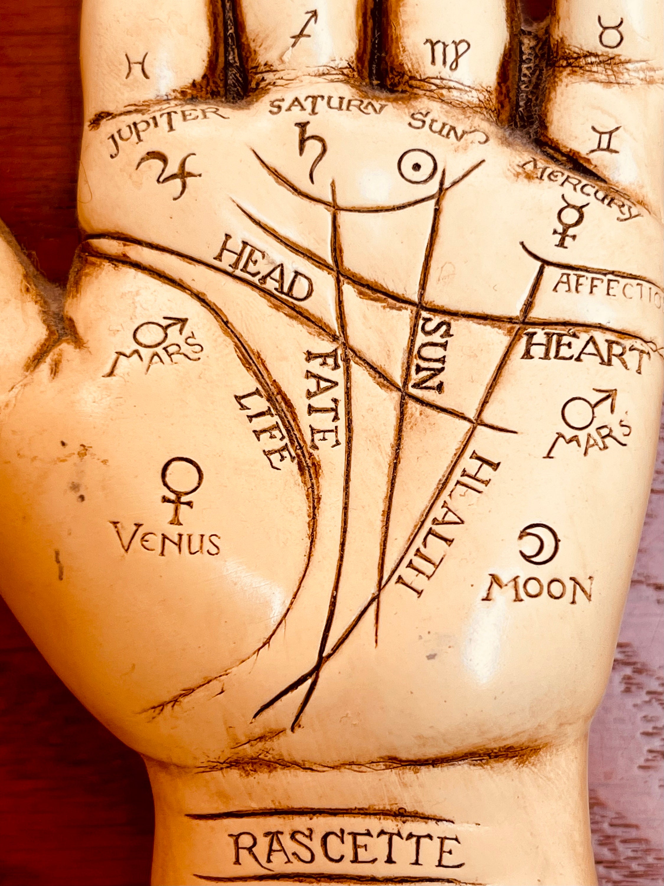 Unique Palmistry Life Lines Hand Model Sculpture Fortune Telling Palm ...
