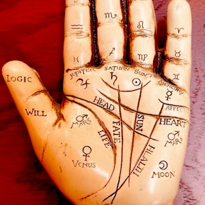 Unique Palmistry Life Lines Hand Model Sculpture Fortune Telling Palm ...